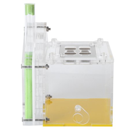 Fosa Durable Acrylic Ant Breeding Box Boxes Ant Breeding Box For Ants ...