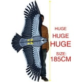 "HENGDA KITE Large 71"" Strong Eagles! Beginner Eagle Kites for ...