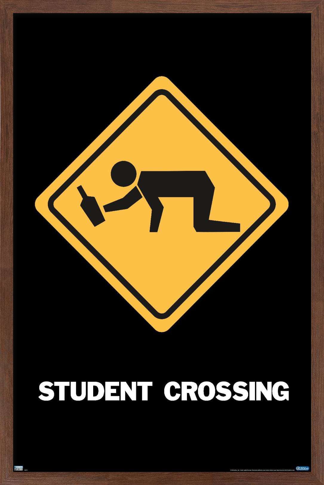 Student Crossing Wall Poster, 22.375" x 34", Framed - Walmart.com