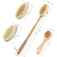 Dry Brushing Set - Natural Boar Bristle Body & Face Brush, Wooden Long ...