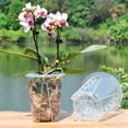 Reinforced Clear Nursery Pots for Plants with Drainage Holes, High ...