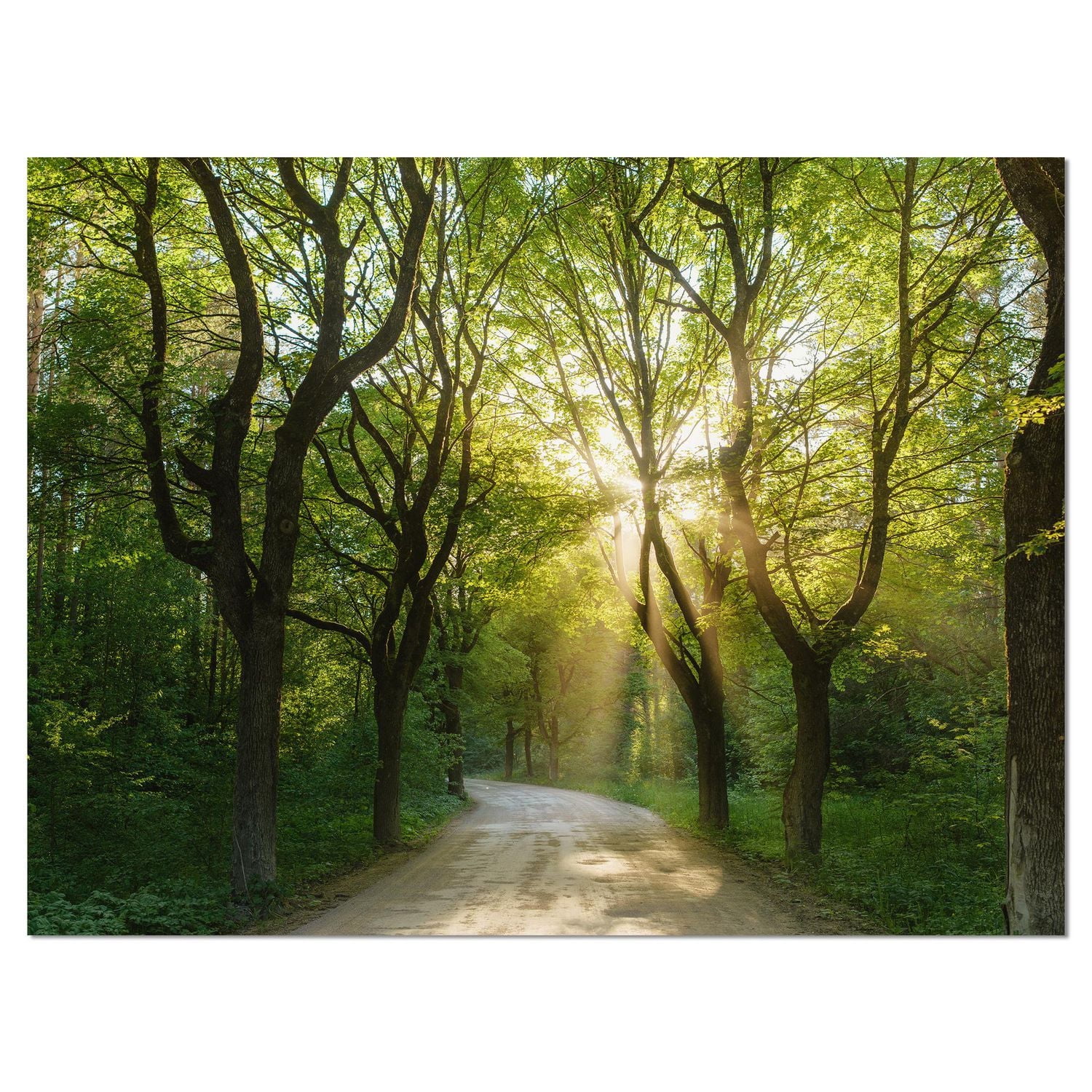 Click here for Designart Evening In Green Forest Canvas Wall Art... prices