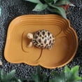 Step Design Reptiles Bathing Bowl Plastic Terrariums Basin For Turtles ...