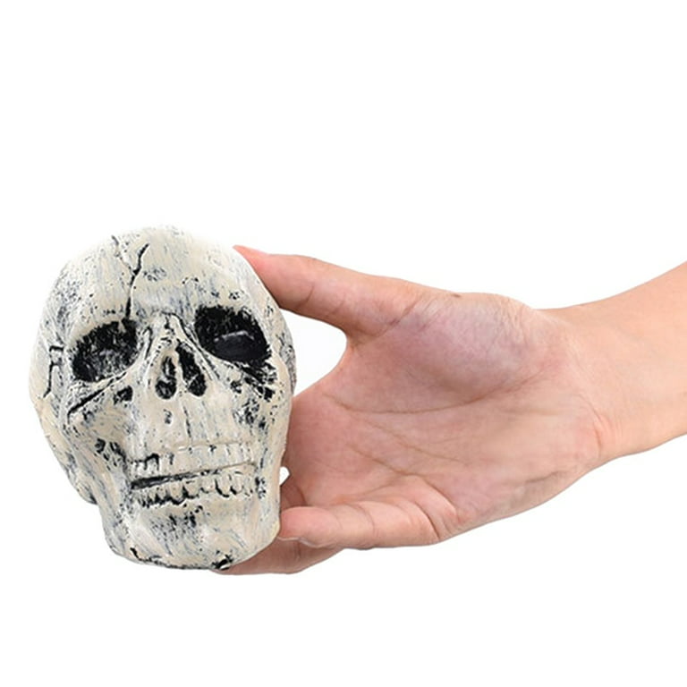 Skeleton Hand Holding Skull