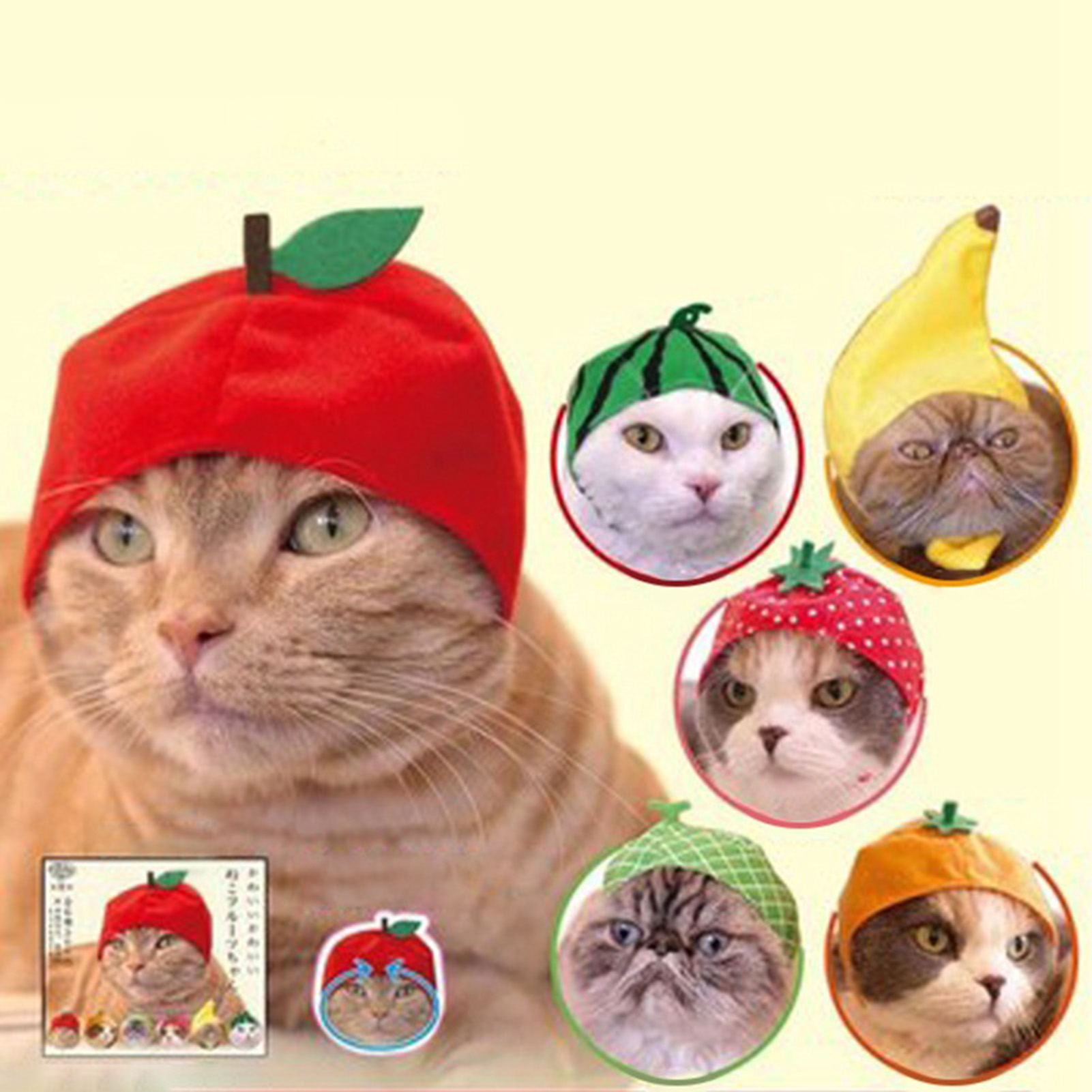 Cats Wearing Fruit Hats