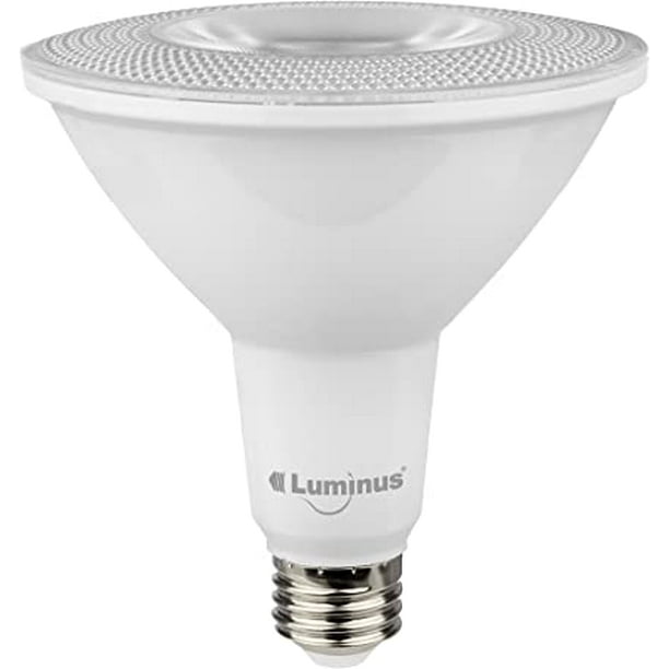Luminus Led Light Bulbs Review | Shelly Lighting