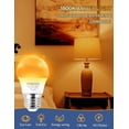 Amber Sleep Light Bulbs Dimmable, Blue Light Blocking, A15 E26 5W(40 ...