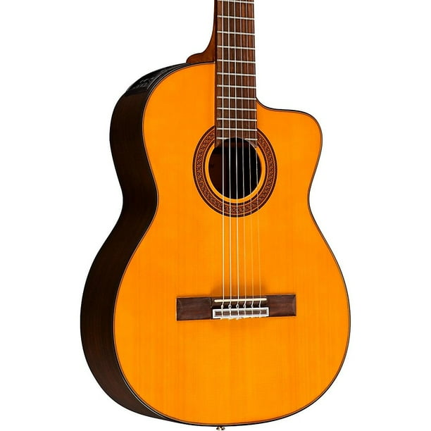 Takamine 6 Strings