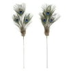 Peacock Feather Picks by Ashland® - Walmart.com