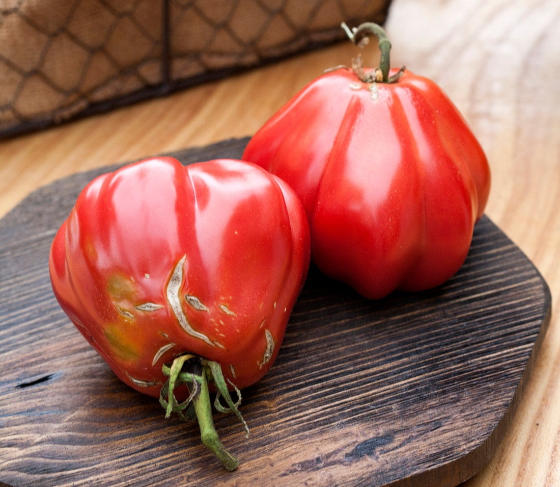 Zapotec Pleated Heirloom Tomato Premium Seeds Packet - Walmart.com