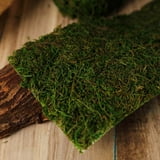 BalsaCircle 5x48" Green Natural Moss Ribbon Roll Party Crafts Wedding ...