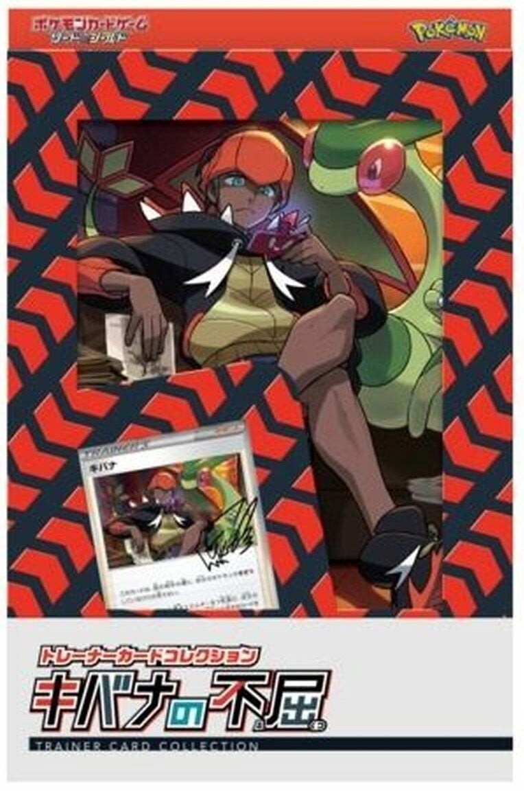 Pokemon Sword & Shield Raihan's Indomitableness Trainer Card Collection ...