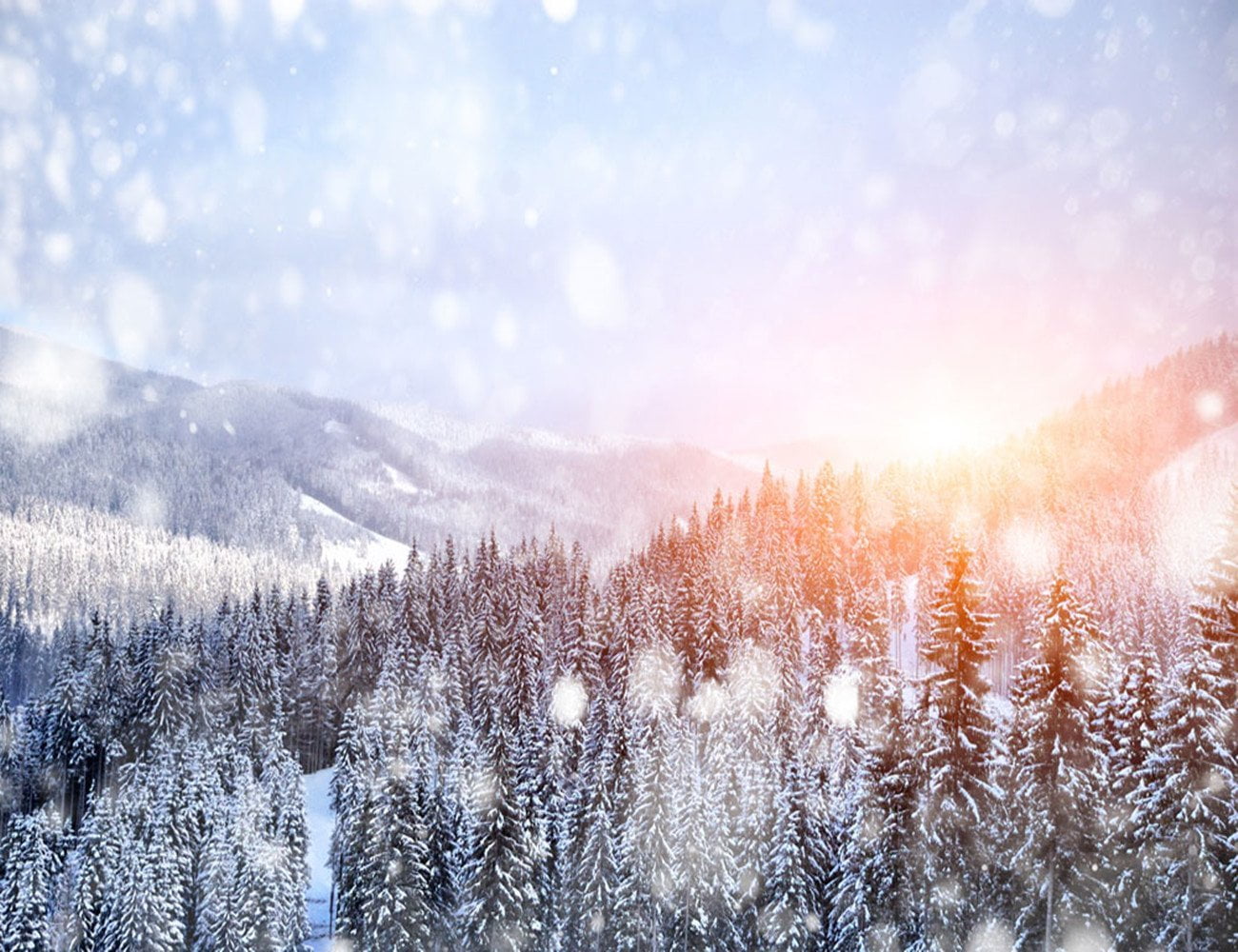 GreenDecor Polyester Fabric Winter Photography Background Christmas ... GreenDecor Polyester Fabric Winter Photography Background Christmas ...