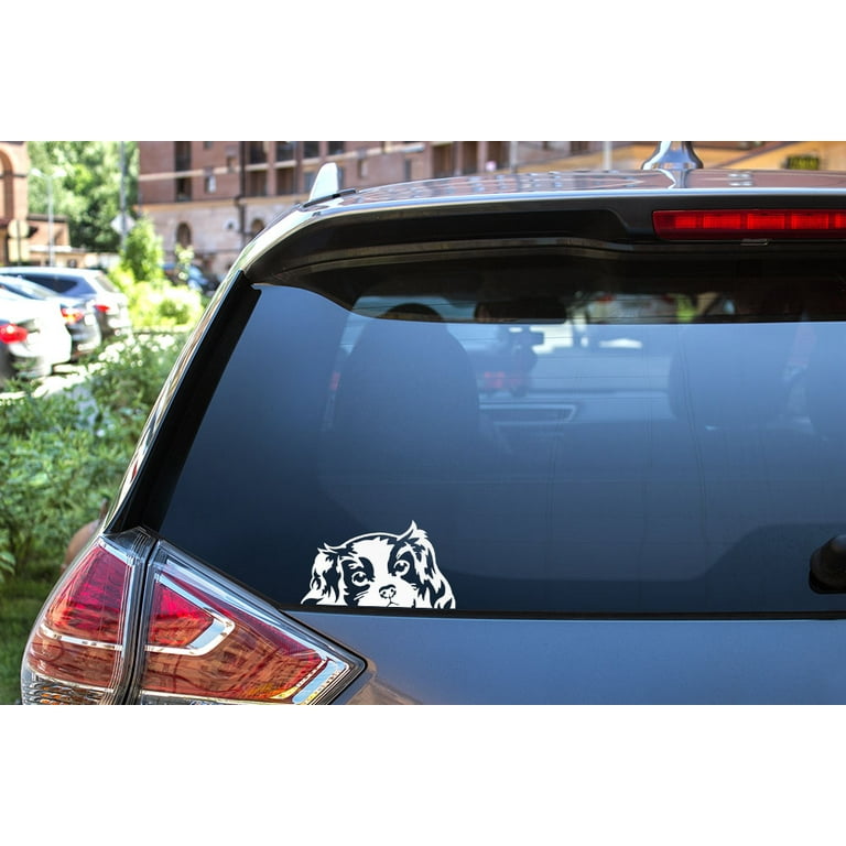 Jdm Stickers Window