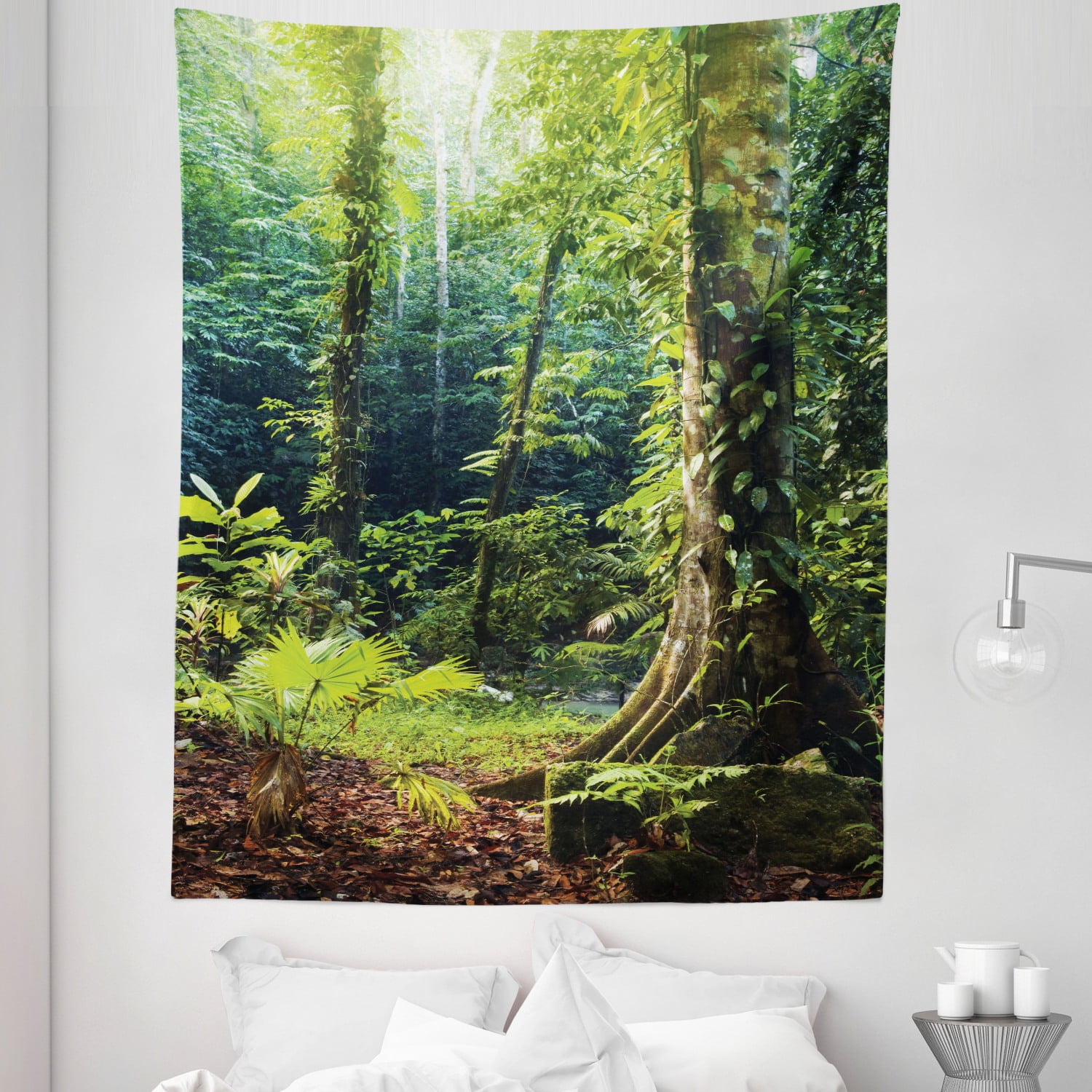 Rainforest Tapestry, Morning Sunbeam Through Wild Forest Ivy on Trees ...