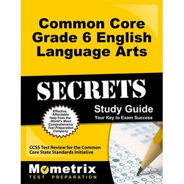 Basics & Achieve: Common Core Basics, Mathematics Core Subject Module (Paperback) - Walmart.com