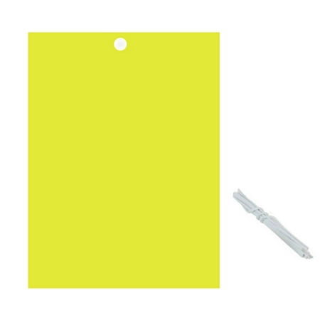 Double-sided Bug Fly Stickers For Flying Insects Sticky 50PCS 20x15CM ...