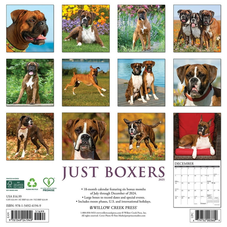 2024 Boxer Calendar 2026 Square Wall Calendar - Boxers Good Dog 2025