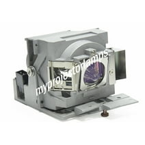 Viewsonic RLC-111 Projector Lamp - Walmart.com