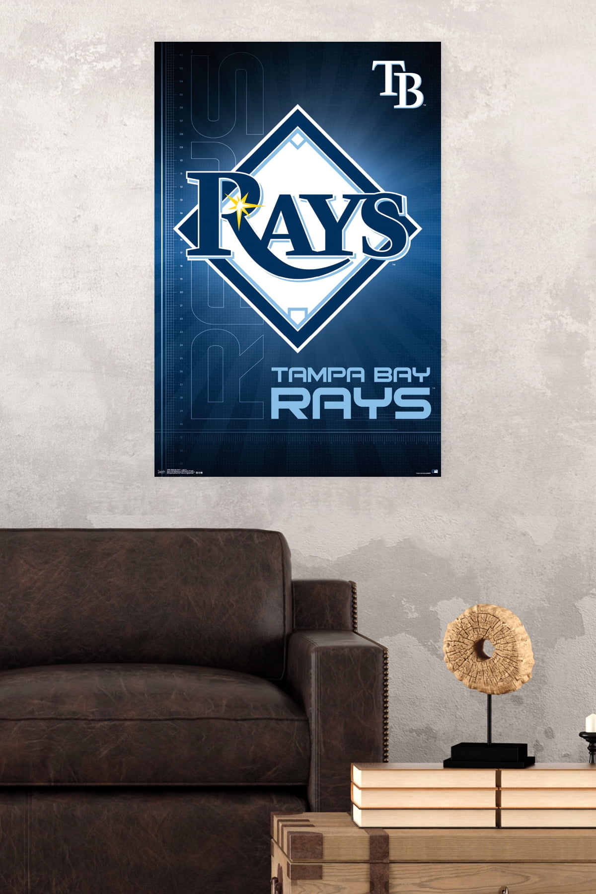 Tampa Bay Rays Iphone Wallpaper