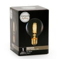 Cleveland Vintage Lighting Double Swirl E26 Base Edison Light Bulb - 40 ...