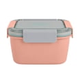 4-Compartment Plastic Salad Container, Leak-Proof Dressing Lunch Box ...