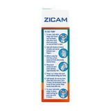 Zicam Intense Sinus Relief No-Drip Relief Nasal Spray with Cooling ...