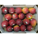 Fresh Mangoes, Each - Walmart.com