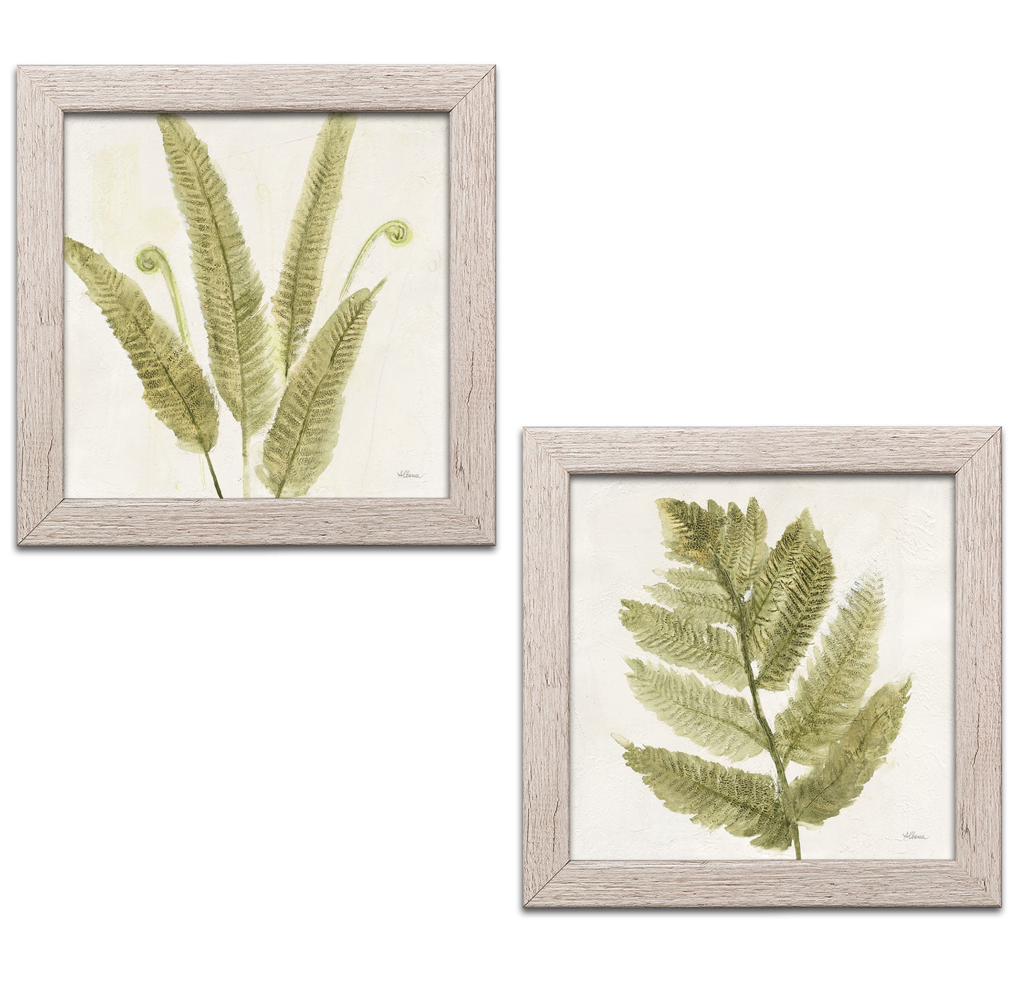 Gango Home Decor Cottage Forest Ferns I & II by Albena Hristova (Ready ...