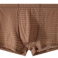 Gifts Dianli Breathable Mesh Boxer Shorts Men's Solid Semi-Transparent ...