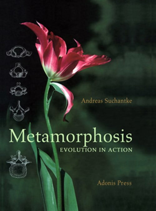 Pre-Owned Adonis Press: Metamorphosis: Evolution in Action (Hardcover ...