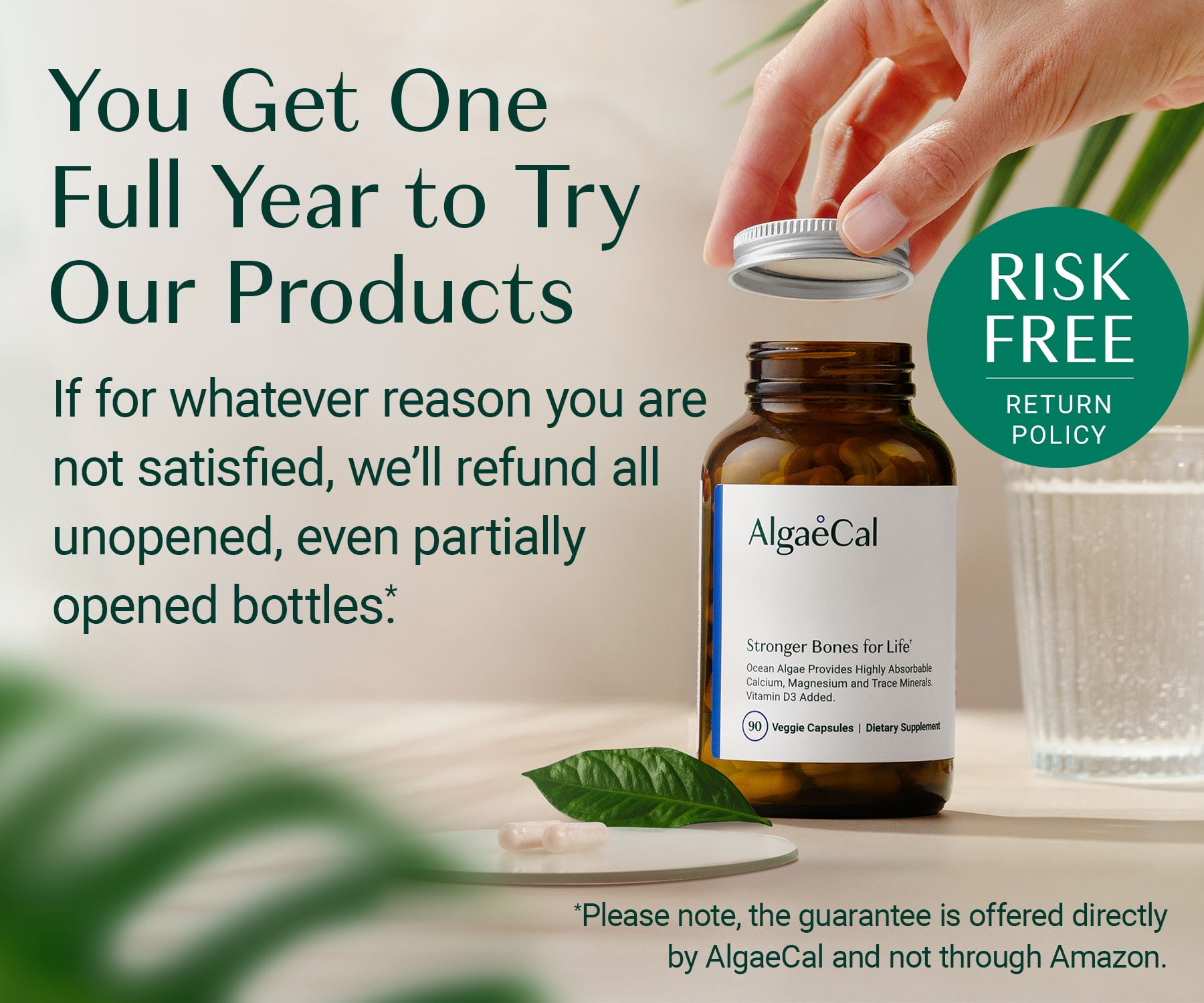 AlgaeCal - Clinically Supported Plant Based Calcium Philippines | Ubuy