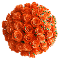 100 Stems of Solid Orange Color Roses- Beautiful Fresh Cut Flowers ...