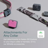 Whistle GO Explore Dog GPS Tracking Device and Pet Health Monitoring ...