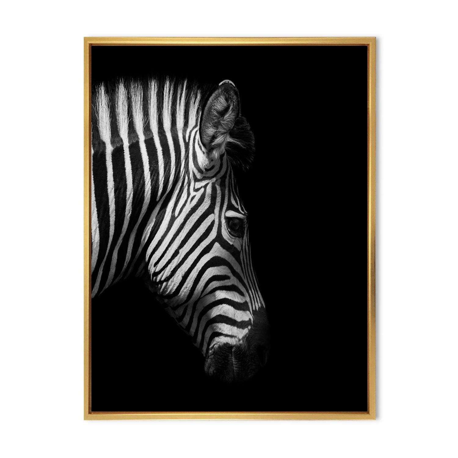 Click here for Designart Monochrome Portrait Of Zebra Head Float... prices