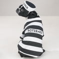 Prison Costumes For Dogs Dress Your Pup Like a Prisoner in Stripes ...