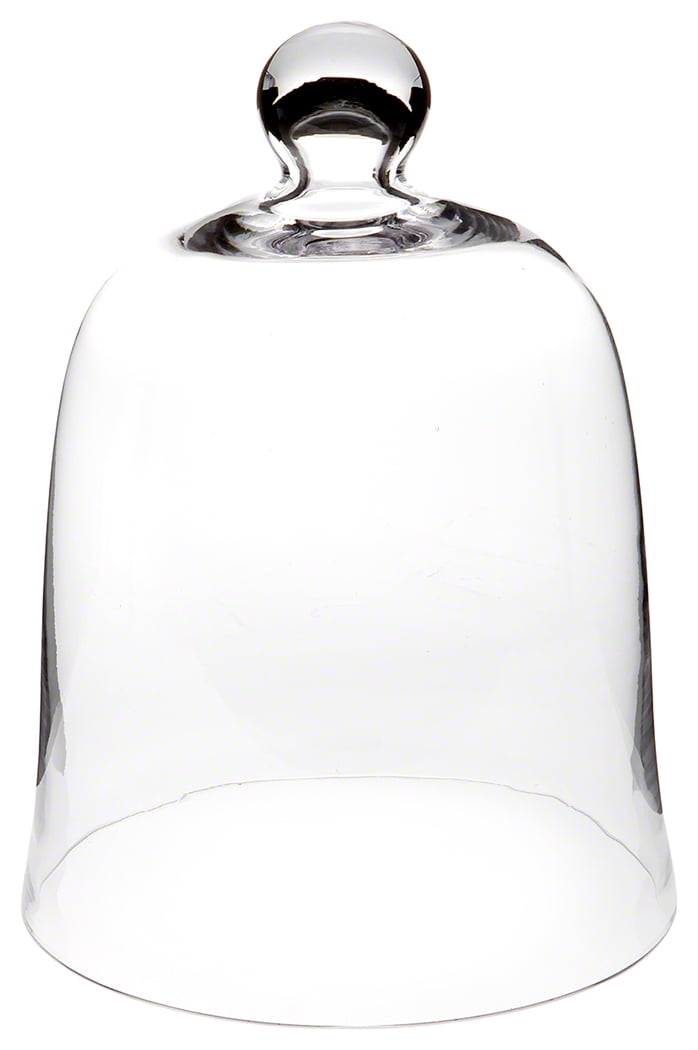 Plymor 8.5" x 11" Bell Jar Glass Display Dome Cloche (Interior size 8. ...