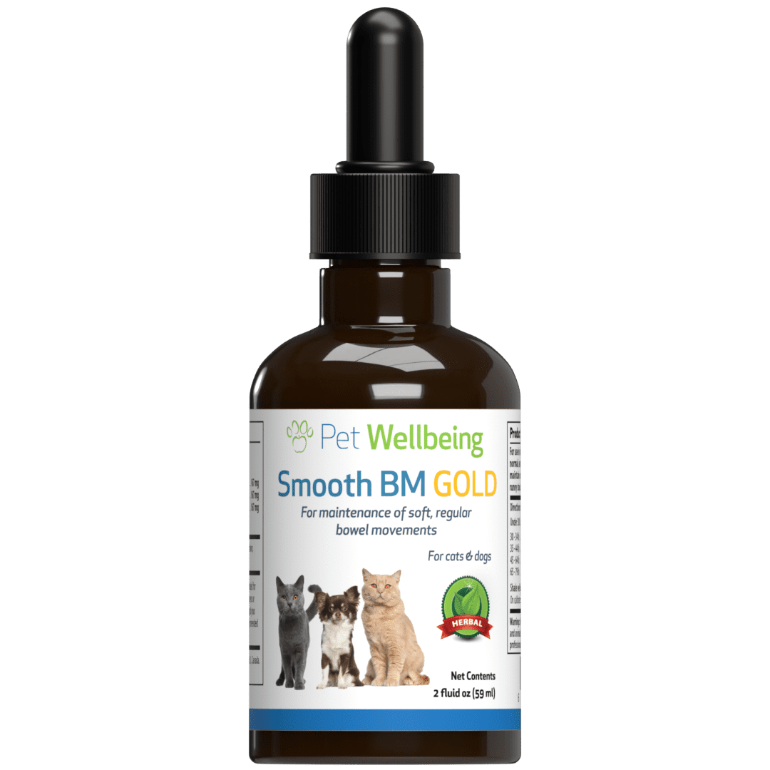 Pet Wellbeing Cat Feline Constipation Support - Smooth BM Gold 2oz ...