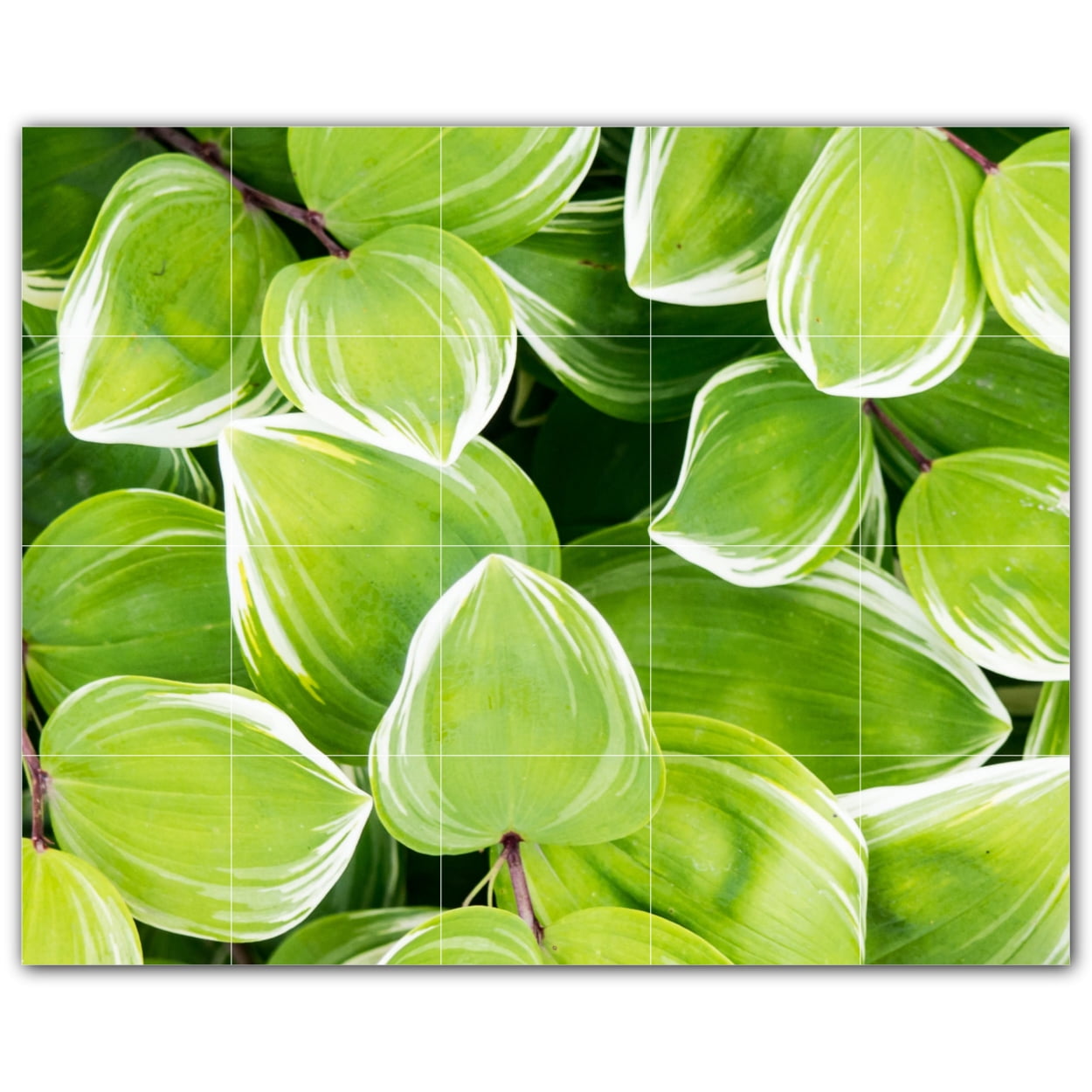 Picture-Tiles.com: Trees Ceramic Tile Wall Mural WAL501010-54XL. 60"W x ...