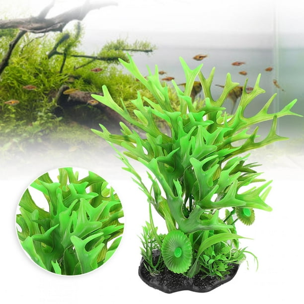 Crawler Box Simulation Plants,Aquarium Artificial Simulation Water ...