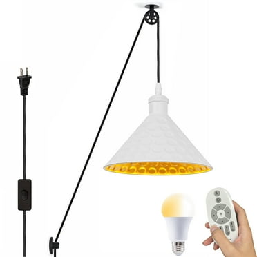 Kiven 1-Light Plug in Pendant Light,Industrial Pulley Hanging Light ...