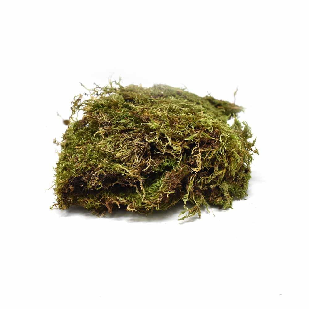 preserved-sheet-moss-green-3-ounce-walmart