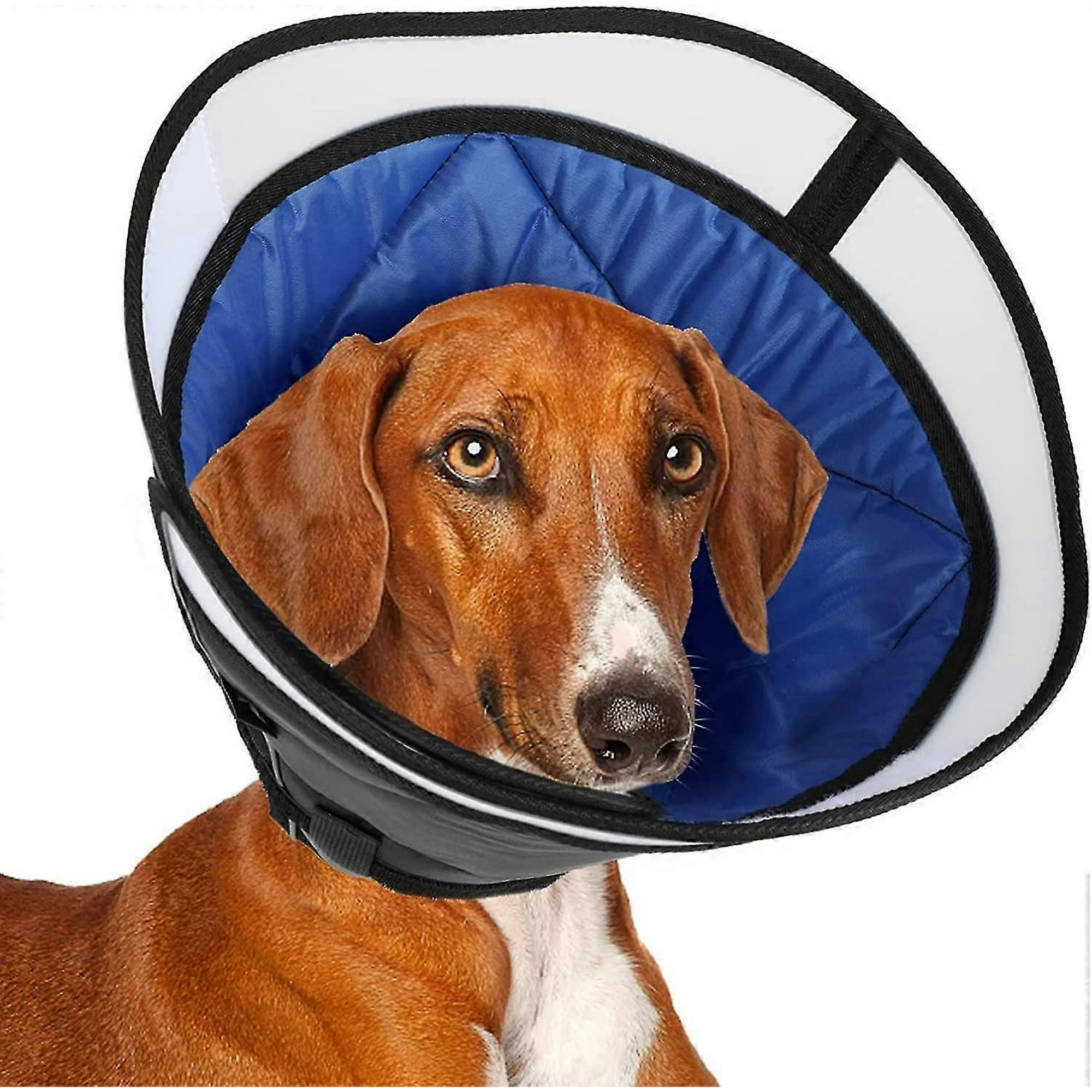 Click here for Be Better Manificent Dog Cone Collar For Dog After... prices
