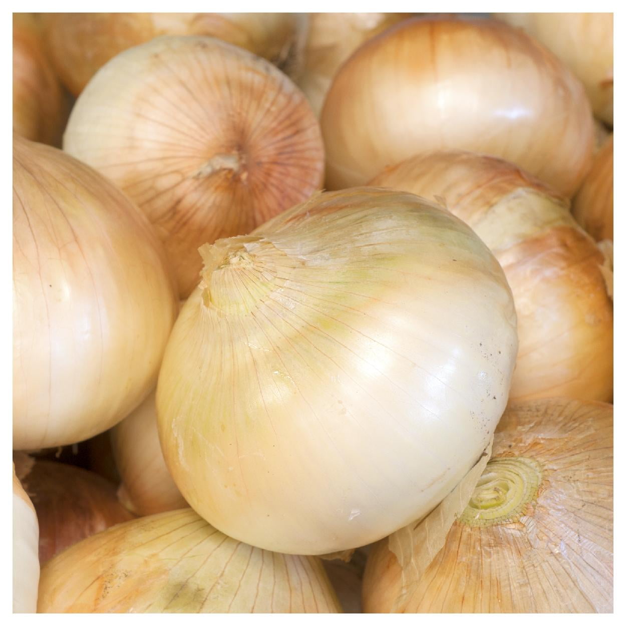 Everwilde Farms - 1 oz Walla Walla Onion Seeds - Gold Vault Bulk Seed ...