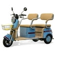 Massimo MGC E-Trike 3-Wheel Electric Cart – 17 MPH, 2-Seater Adult ...