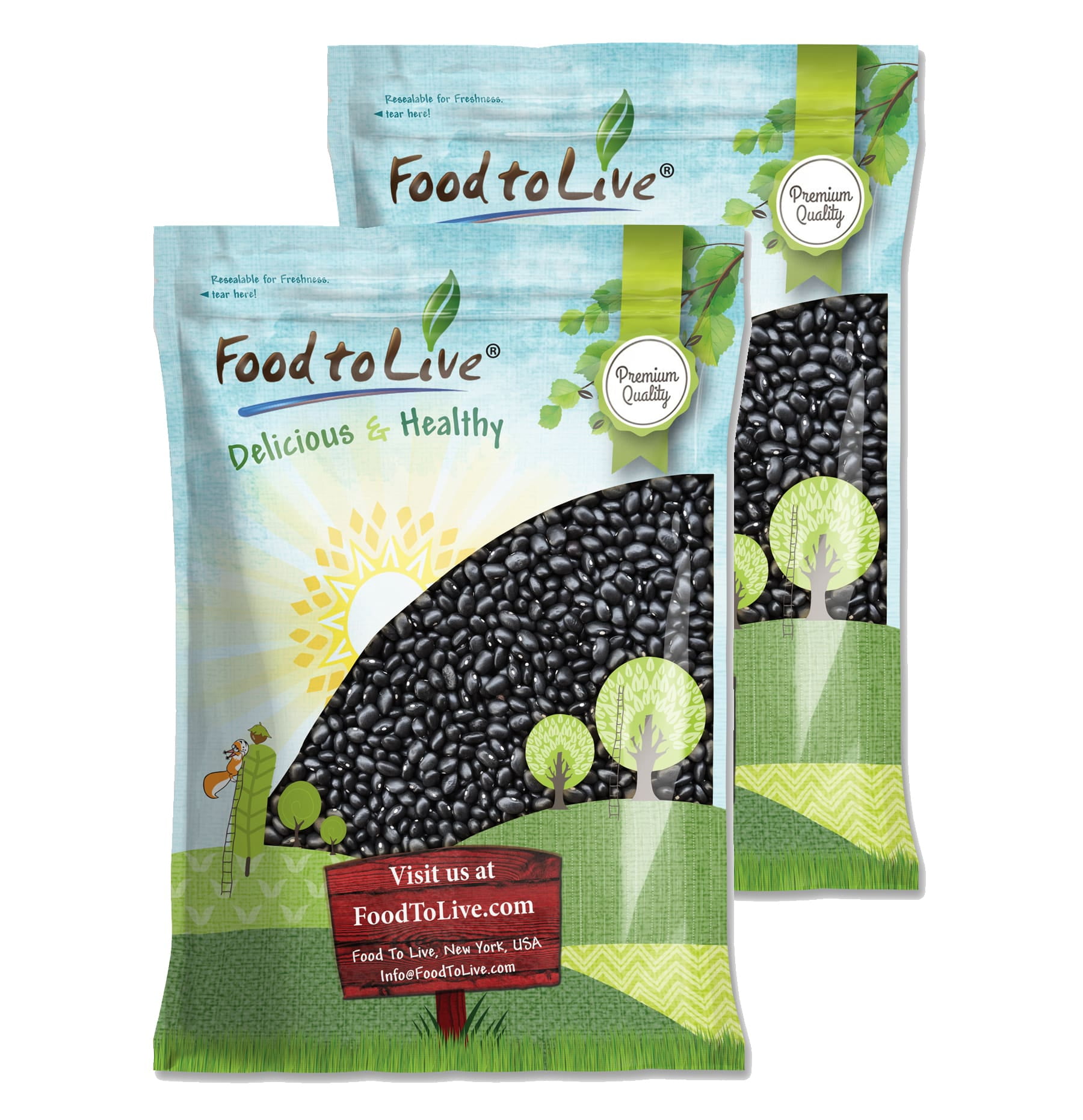 Black Turtle Beans, 20 Pounds — Sproutable, Kosher, Raw, Vegan — by ...