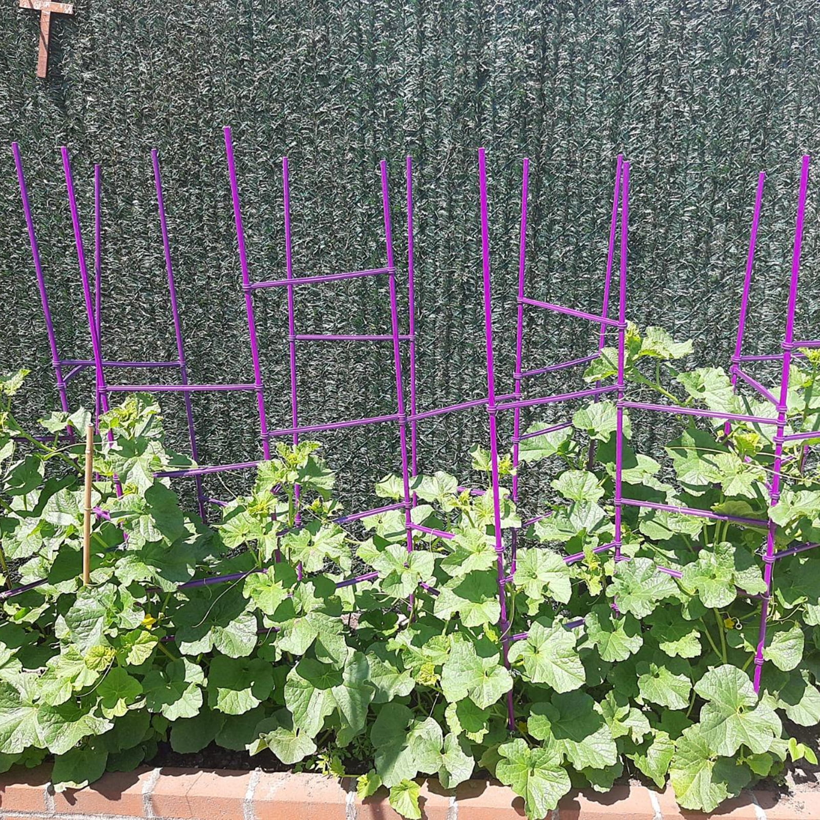 Waroomhouse 1 Set Stable Windproof Plant Support Rack Weather ...