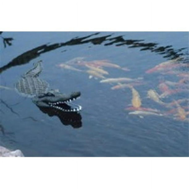 Aquascape AQS93000 Floating Alligator Head Decoy - Walmart.ca