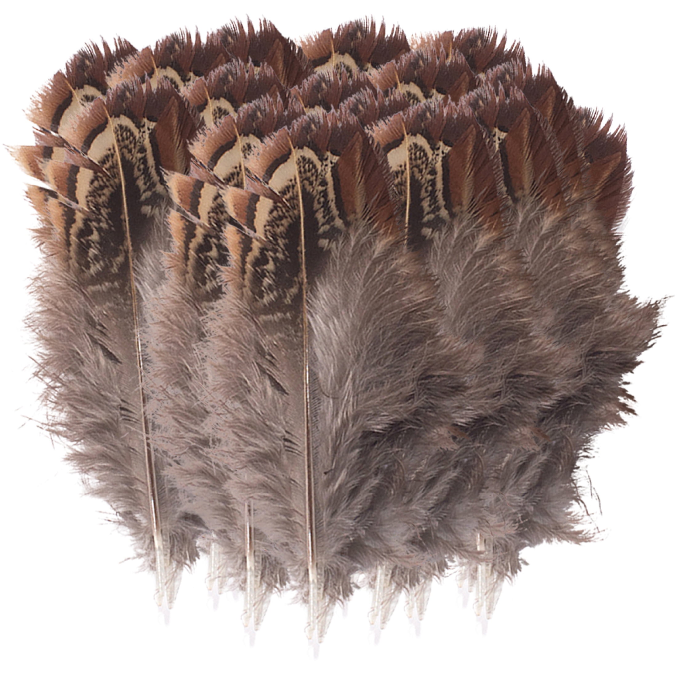 EUBUY 100Pcs Natural Turkey Feather 5-8Cm Color Feathers Handmade Diy ...