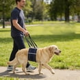 Adjustable Dog Lift Harness, Portable Hind Leg Support for Senior Dogs ...